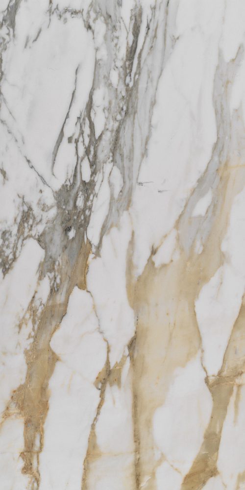 Florida Alustra - Fitzgerald Tile